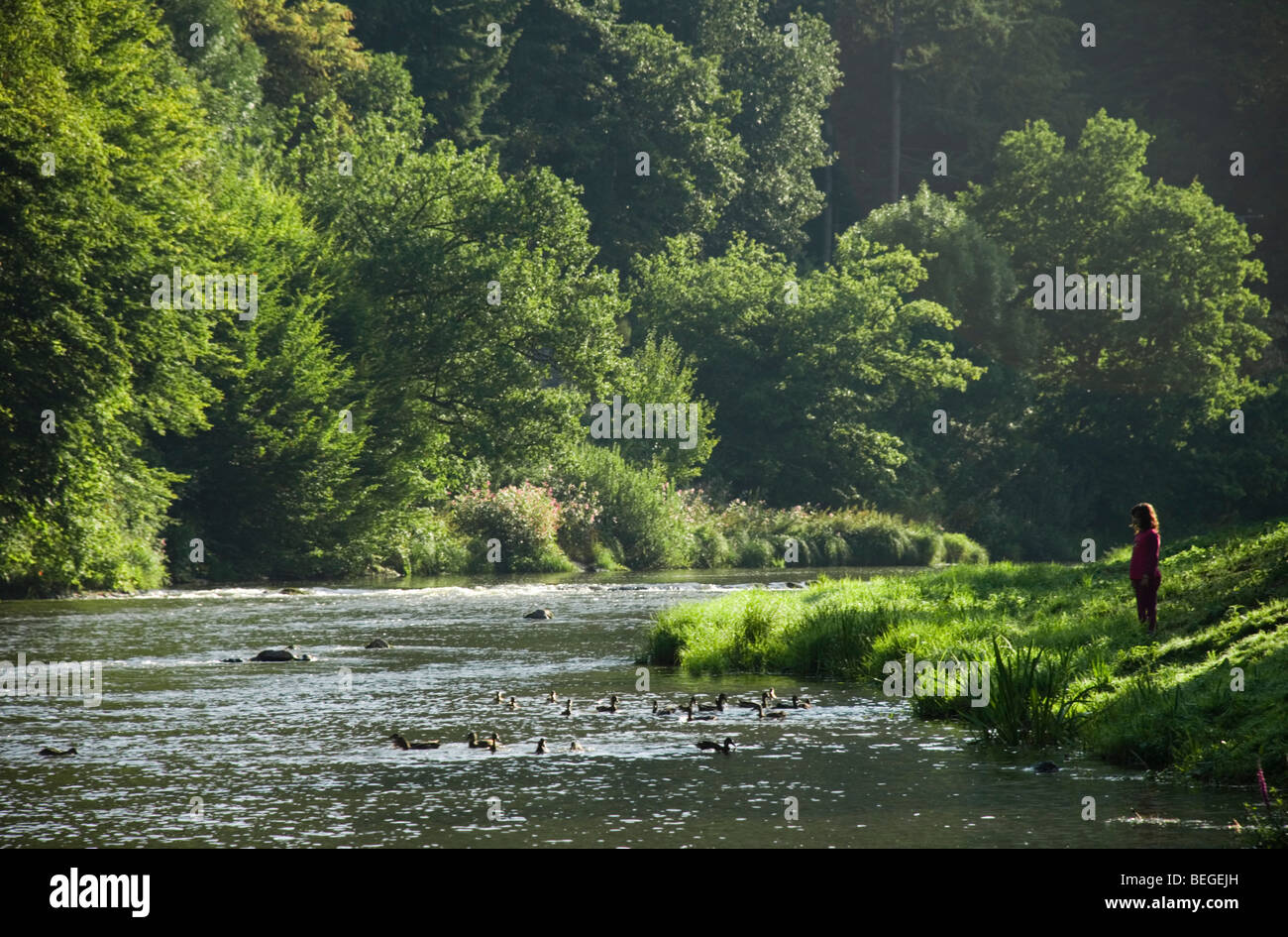 Semois River Stock Photos & Semois River Stock Images - Alamy
