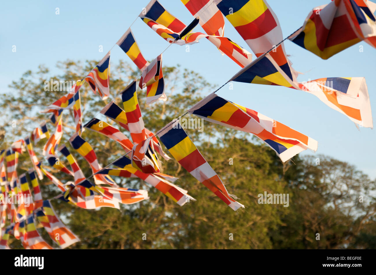 Colorful Buddhist flags Sri Lanka Stock Photo - Alamy