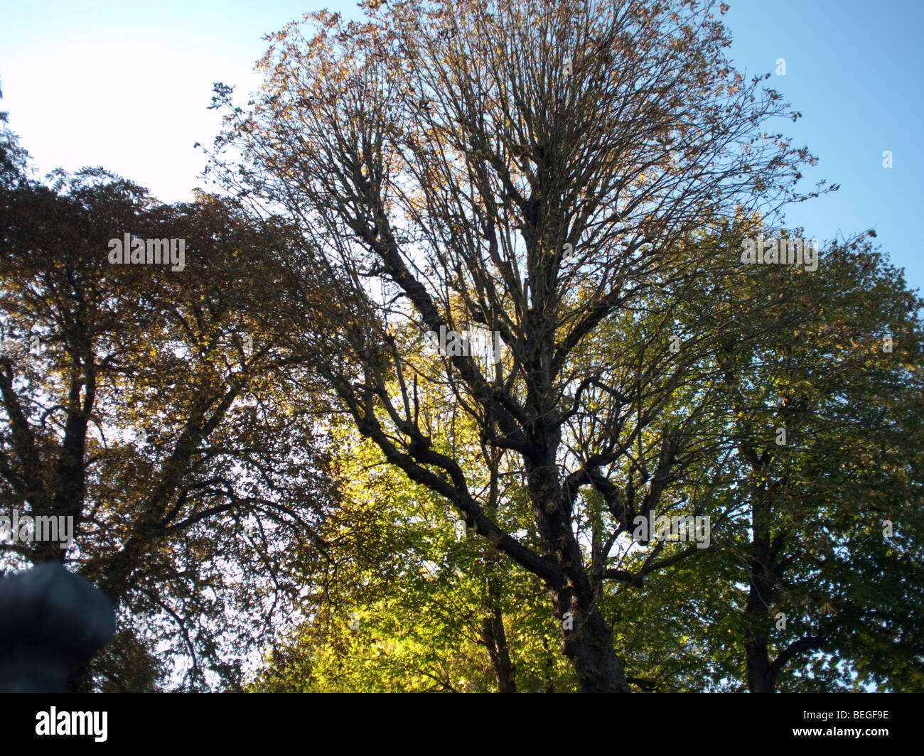 Tomb of jean jacques rousseau hi-res stock photography and images - Alamy