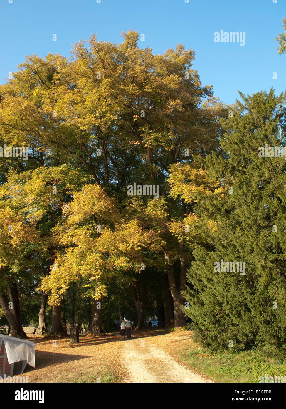 Tomb of jean jacques rousseau hi-res stock photography and images - Alamy