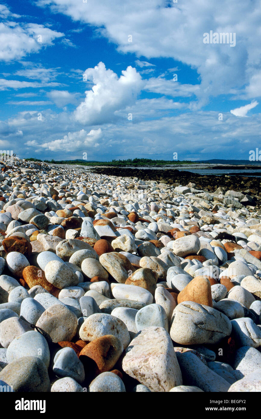 Seashore, along Petit Manan Point Stock Photo - Alamy