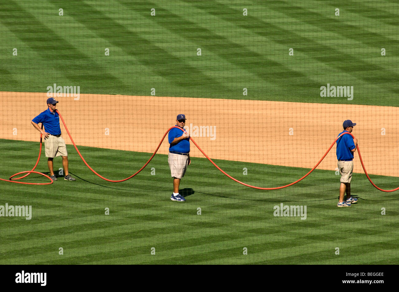 Grounds crew at Dodger Stadium Stock Photo - Alamy
