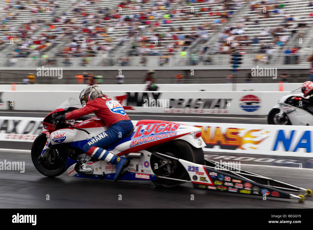 Puerto rican racer hi-res stock photography and images - Alamy