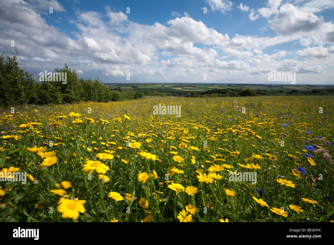 Ww1 battlefields hi-res stock photography and images - Alamy
