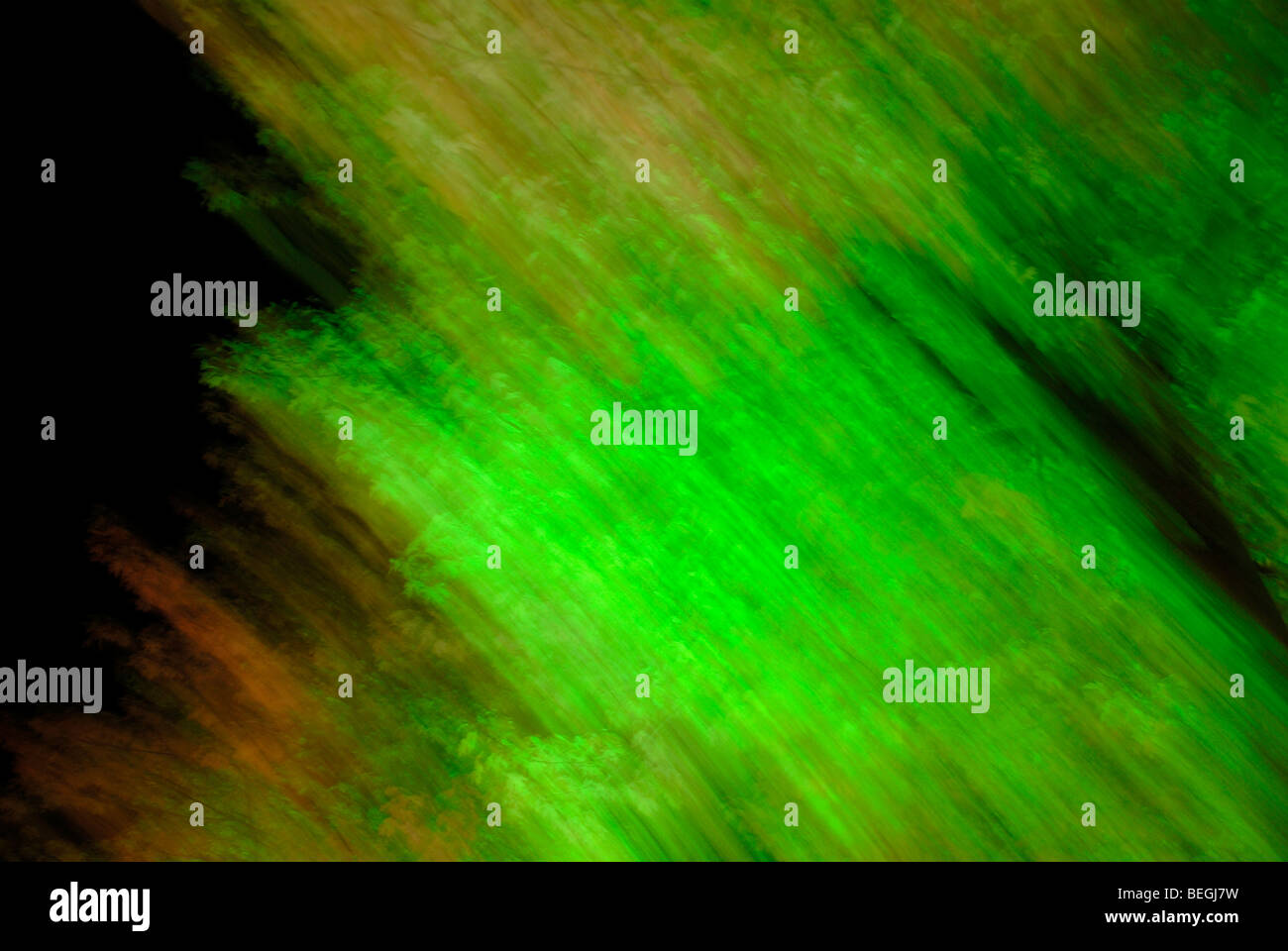 BLURRED TREE CANOPY AT NIGHT Stock Photo - Alamy