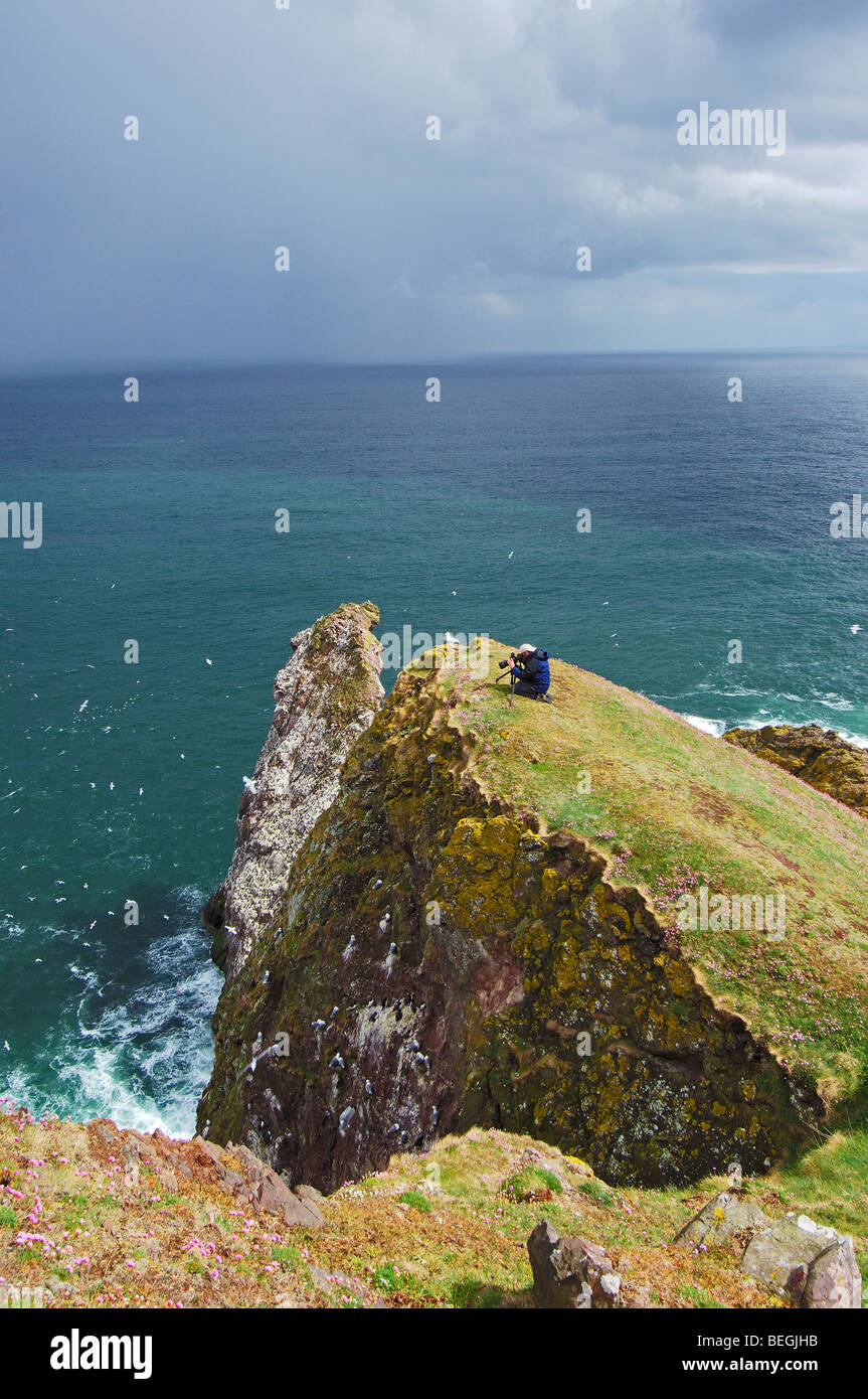 Photographer at St Abb´s Head Cliffs . Birds sanctuary. Scottish ...