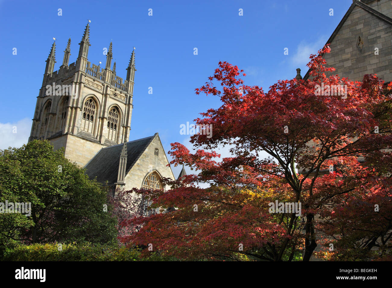 Merton College Chapel and trees in autumn 1 Stock Photo - Alamy