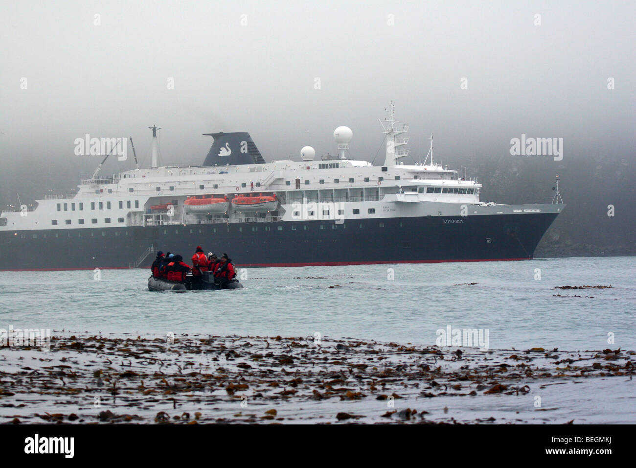 The M/V Minerva anchored for passenger zodiac cruises at Elsehul, South ...