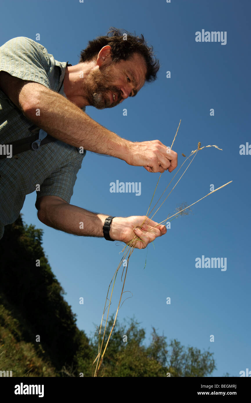 Botanist hi-res stock photography and images - Alamy