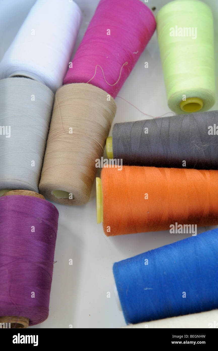 Many variety hi-res stock photography and images - Alamy