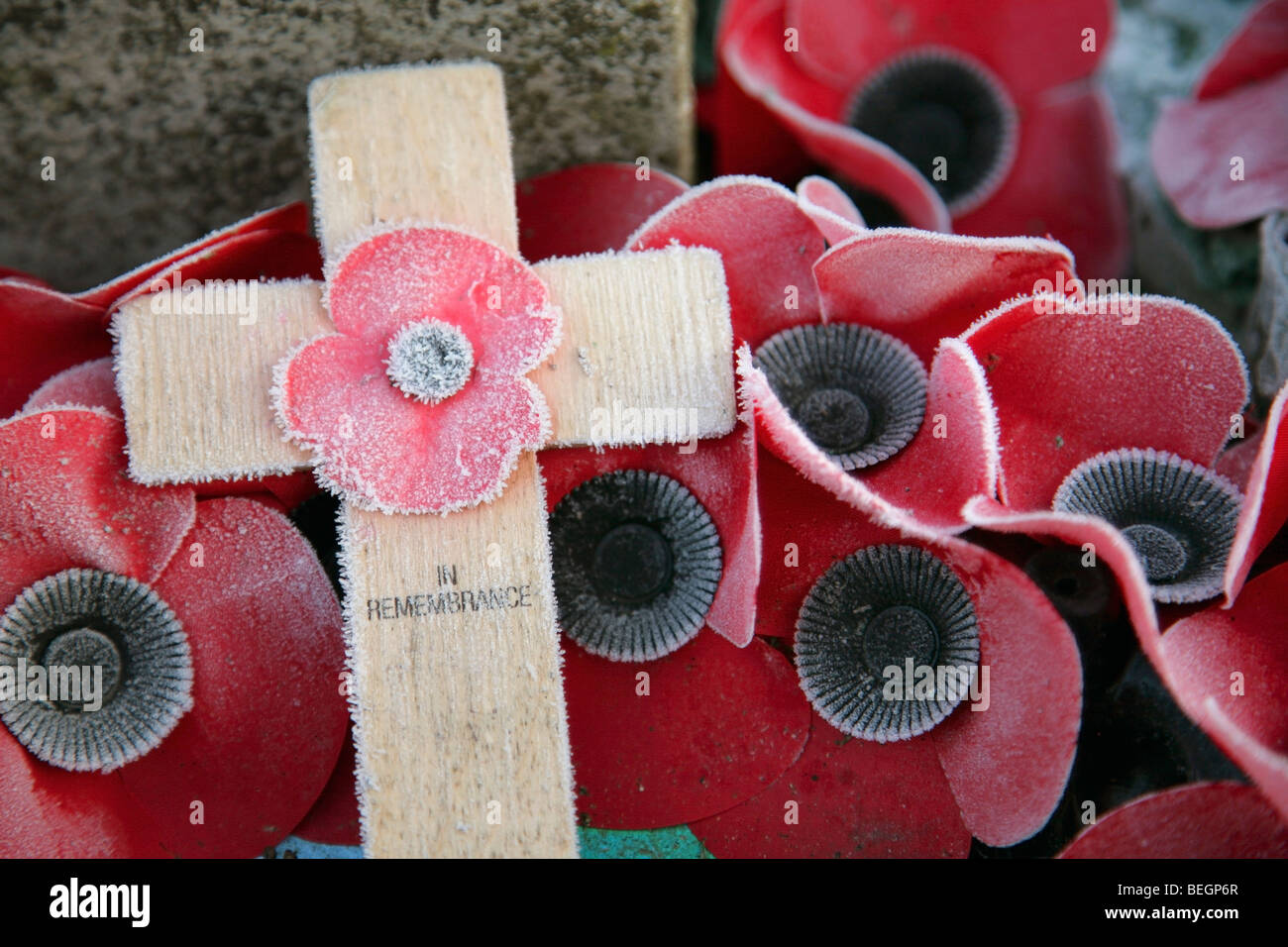 Poppies on cross remembrance day hi-res stock photography and images ...