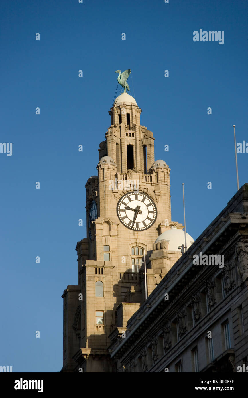 Liver building in the sun hi-res stock photography and images - Alamy