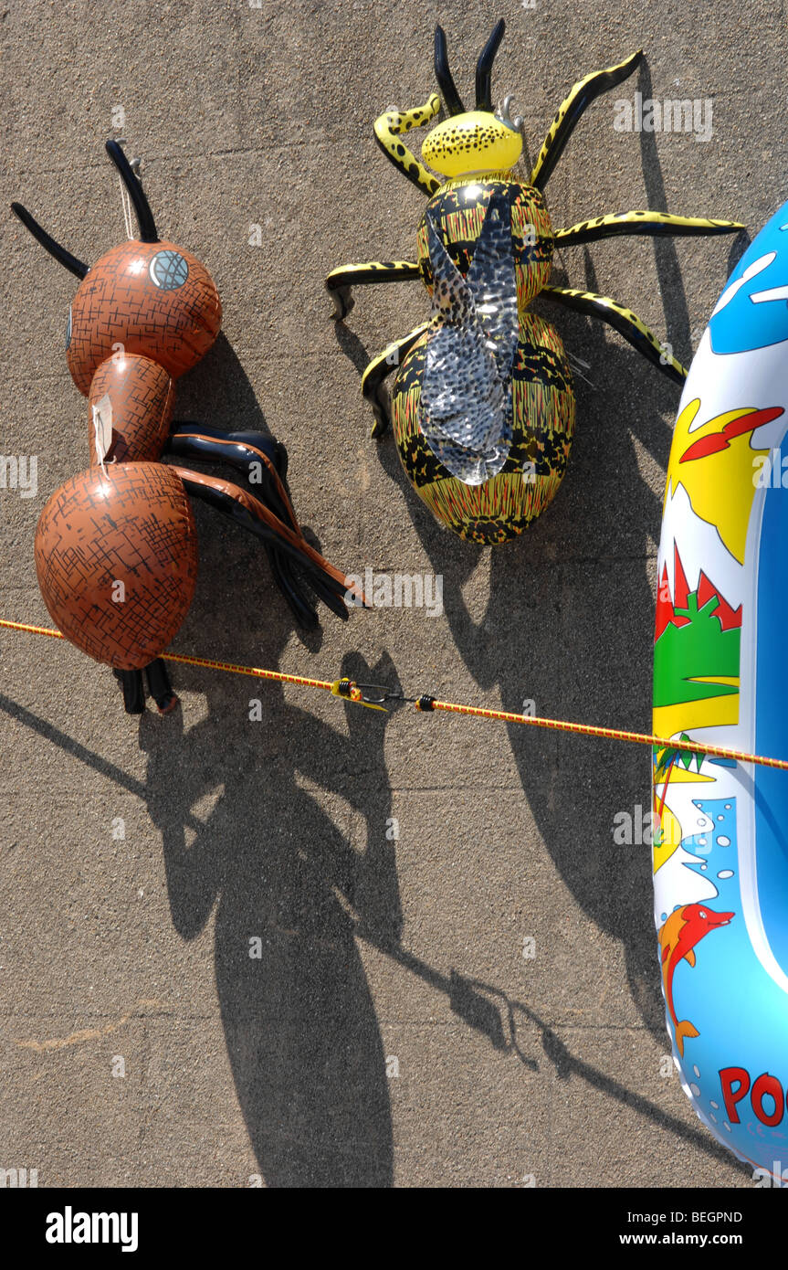 Ant and Bee Blow up Plastic Inflatable Beach Toys, Lyme Regis, Dorset ...