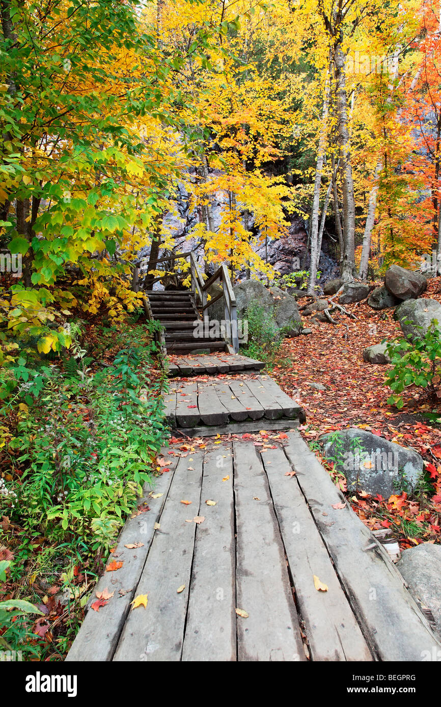 Woods boardwalk autumn leaves hi-res stock photography and images - Alamy