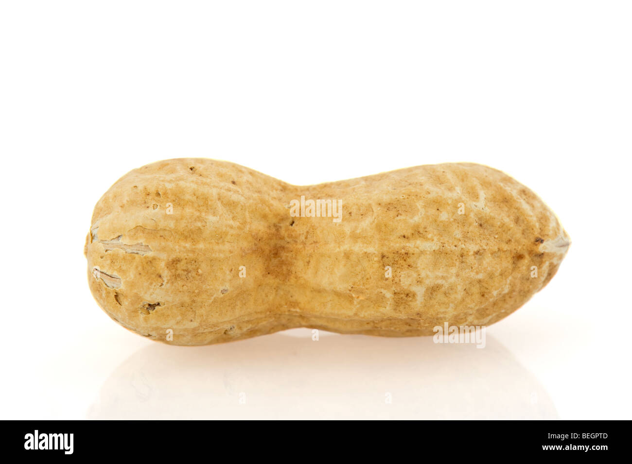 many burned peanuts isolated over white background Stock Photo - Alamy