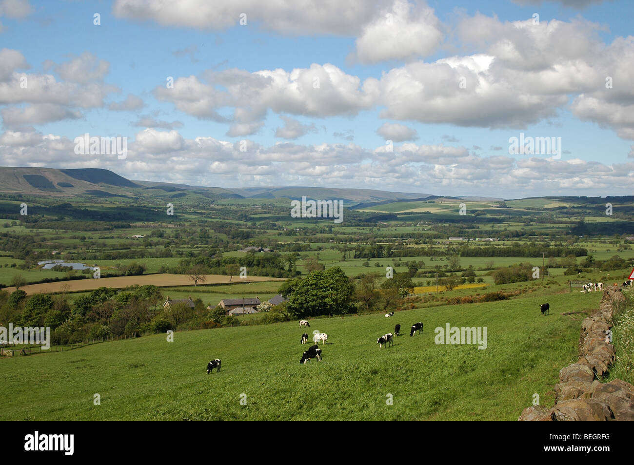 Ribble valley clitheroe hi-res stock photography and images - Alamy