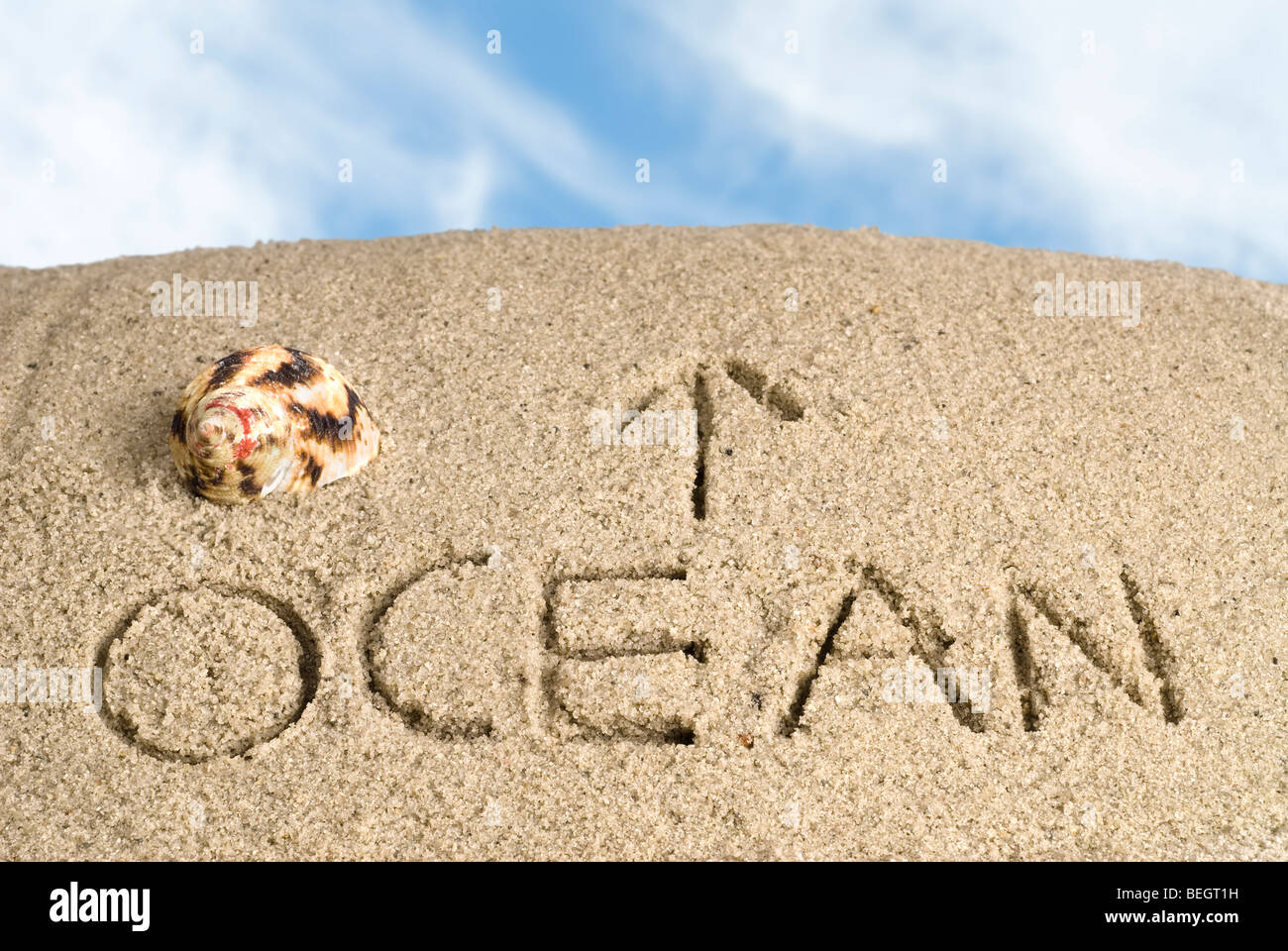 A sand berm forms the horizon leading to the ocean, showing a beautiful ...