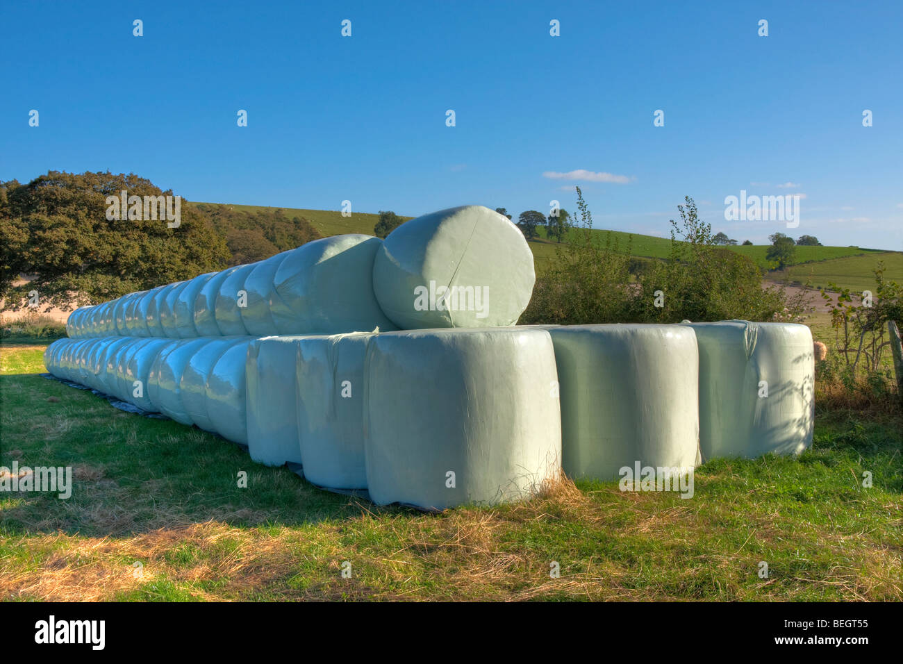 Silage Bales Stock Photos & Silage Bales Stock Images - Alamy