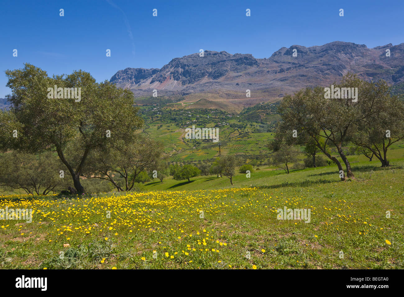 Rif Mountains and countryside Morocco Stock Photo - Alamy