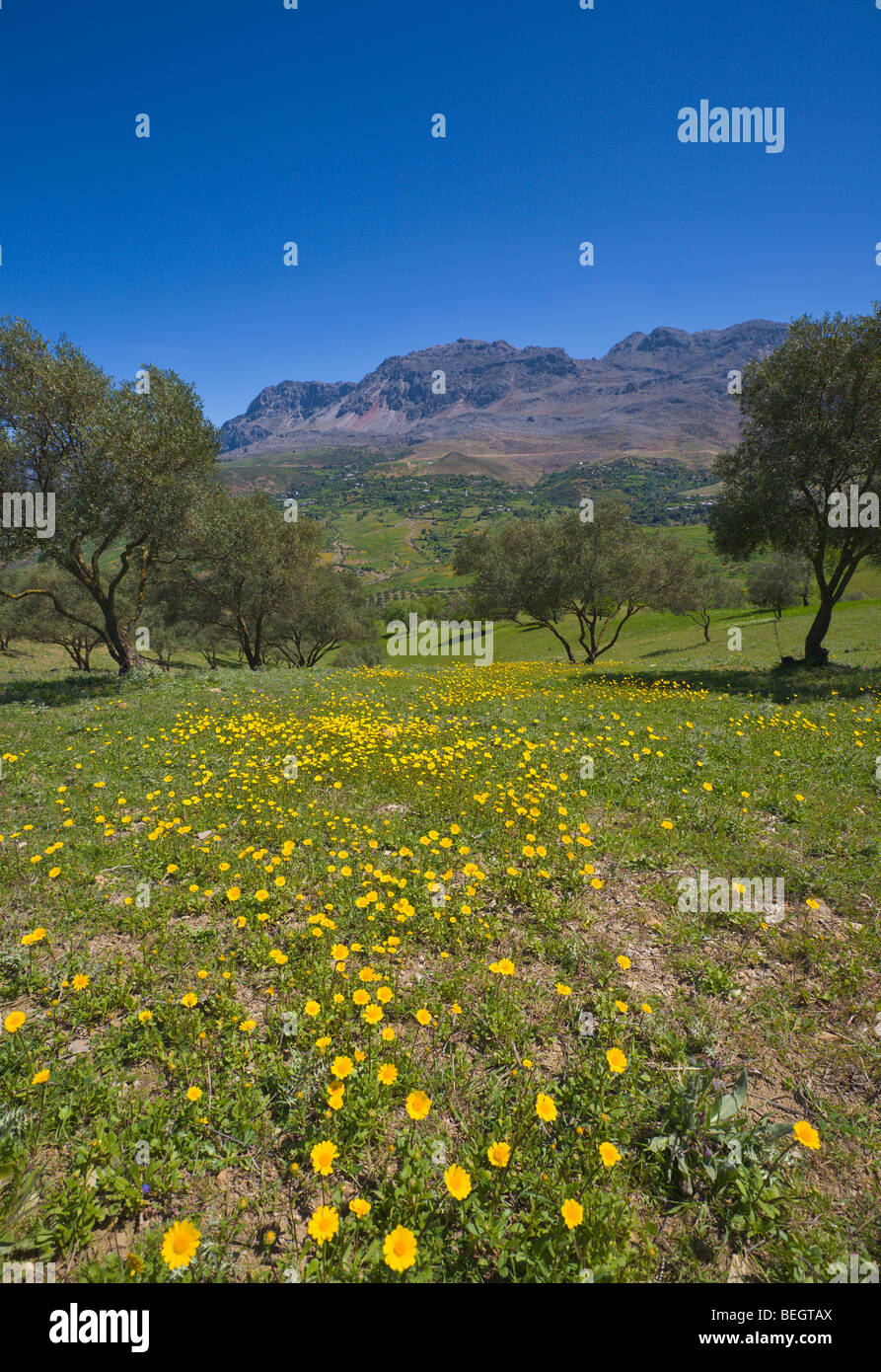Rif Mountains and countryside Morocco Stock Photo - Alamy