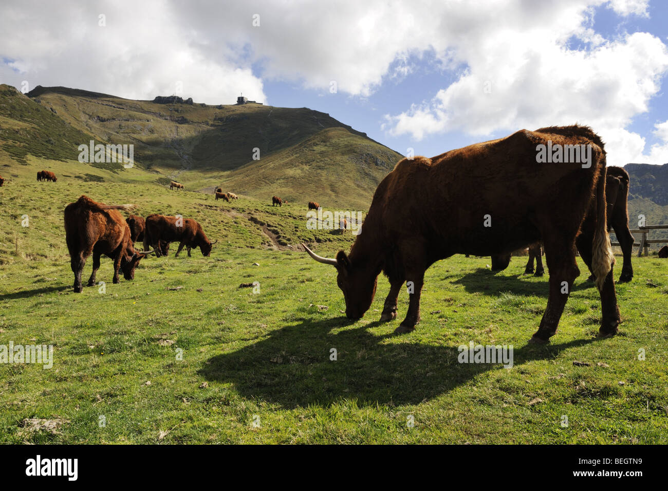 French france farming agriculture hi-res stock photography and images ...