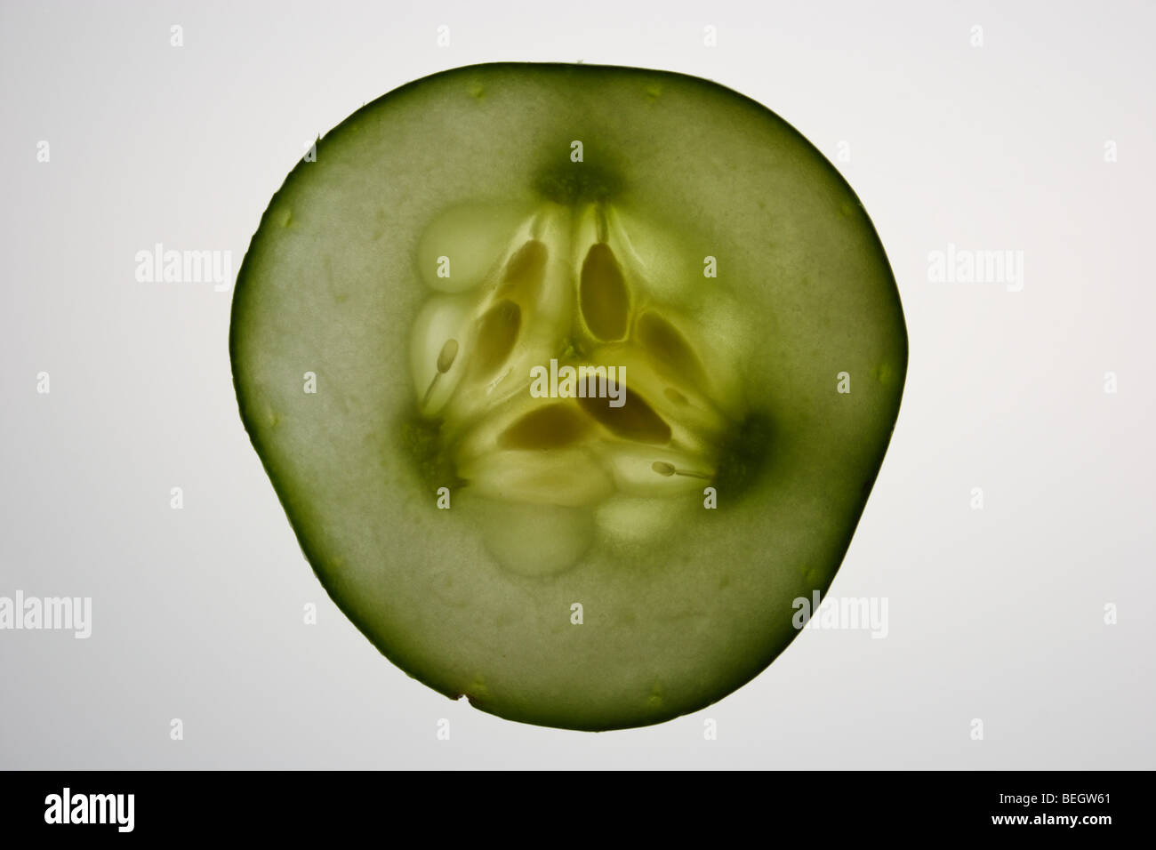 Cucumber slice back-lit showing seed structure Stock Photo - Alamy