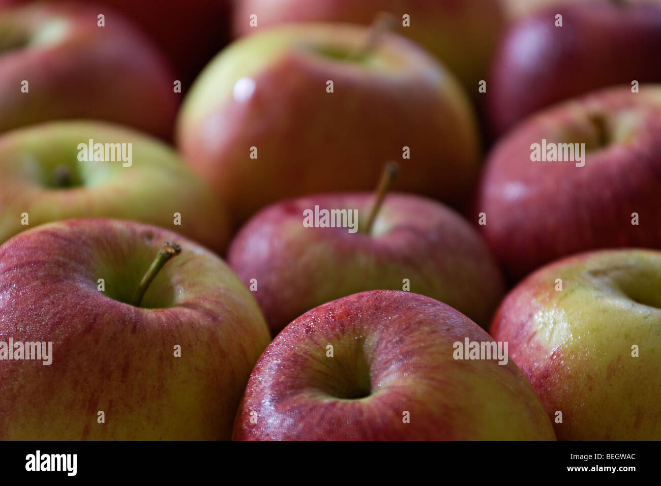 Close up of a group of apples Stock Photo - Alamy