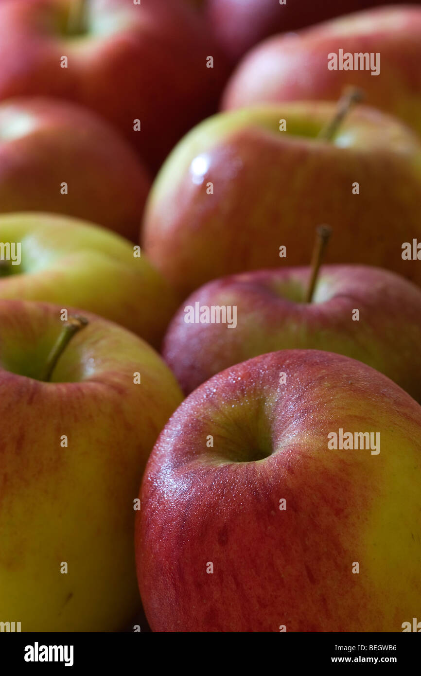 Close up red braeburn apple hi-res stock photography and images - Alamy