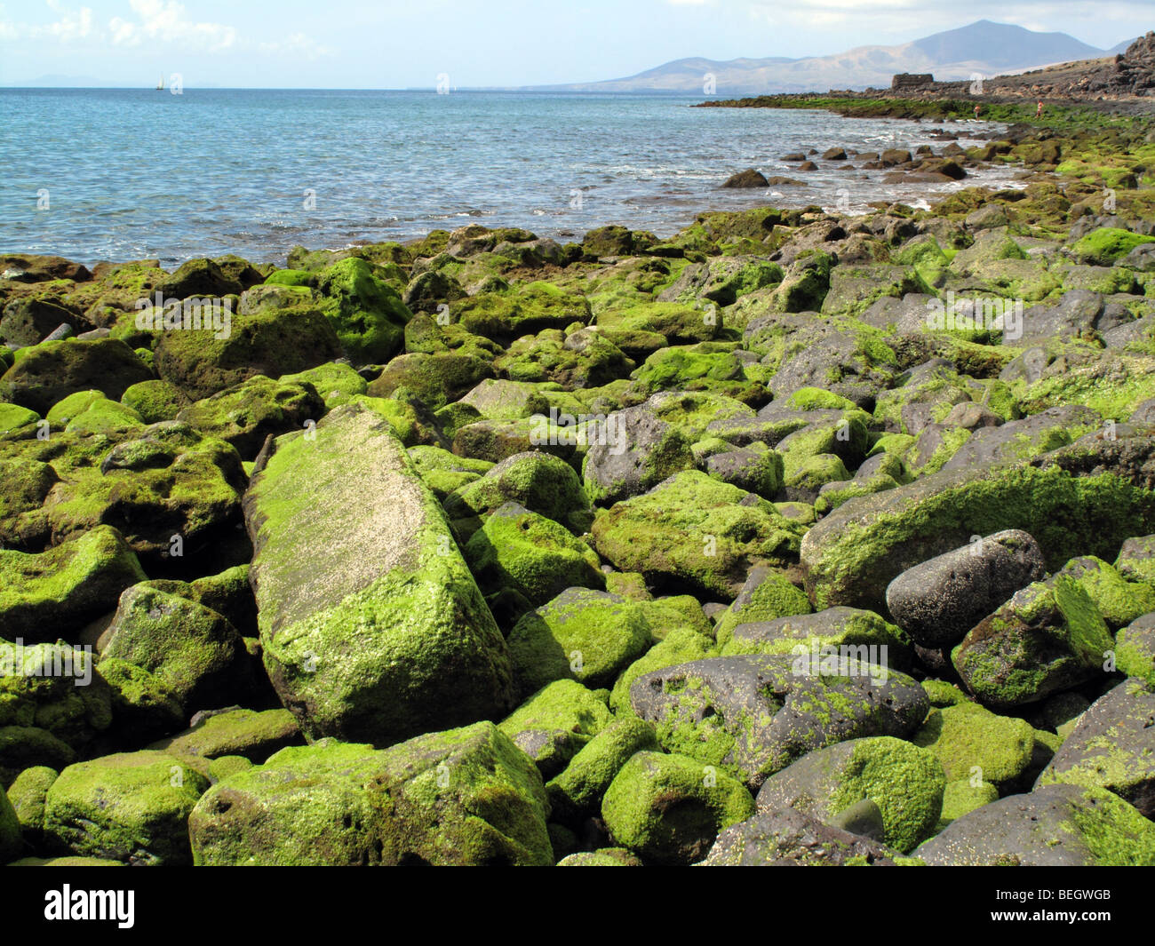 Moss covered rocks at the beach hi-res stock photography and images - Alamy