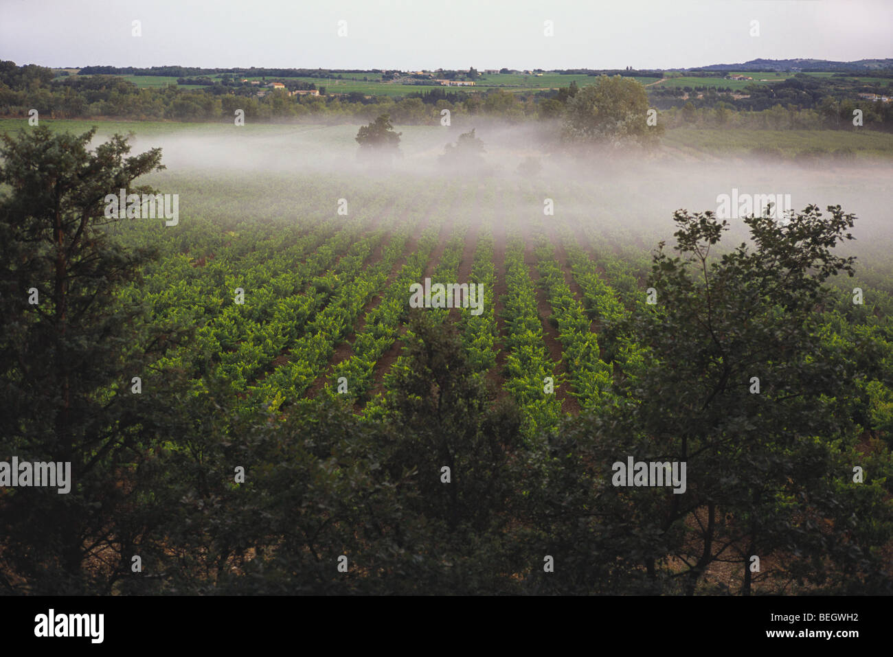 Chemical mist hi-res stock photography and images - Alamy