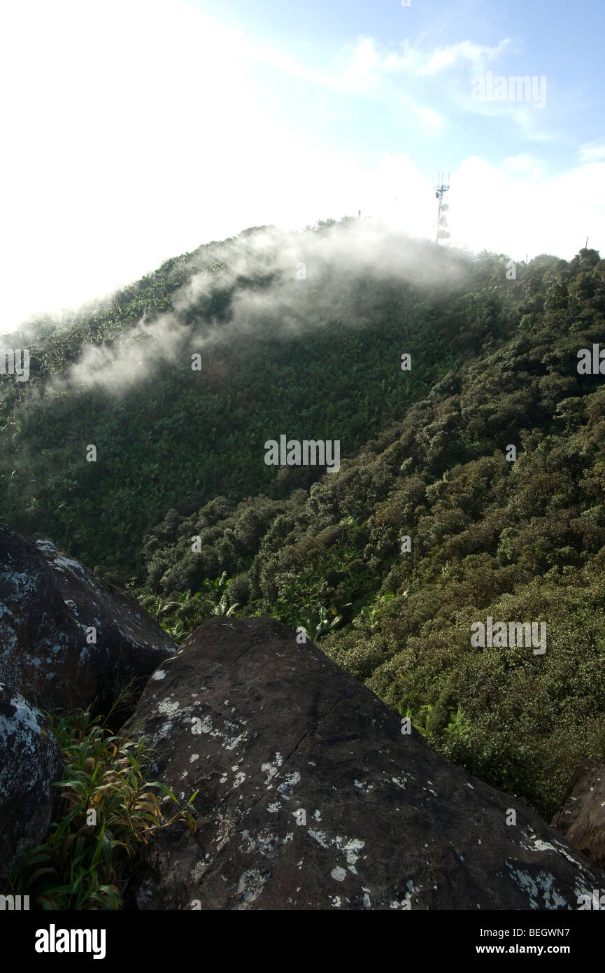 Highest mountains in Puerto Rico part of El Yunque National Rain Forest ...