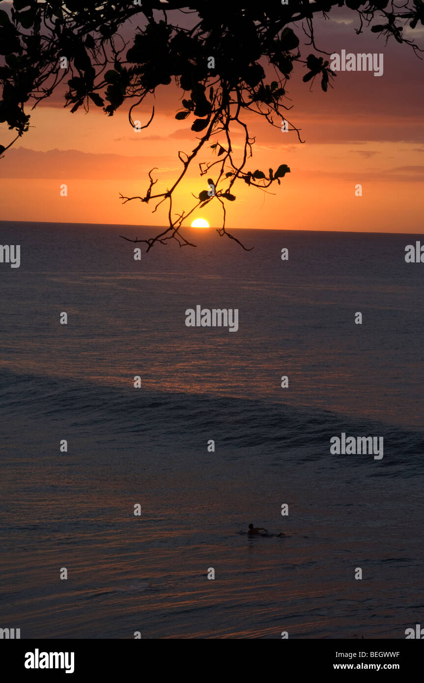 Surfer and a sun set in Rincon Puerto Rico Stock Photo - Alamy