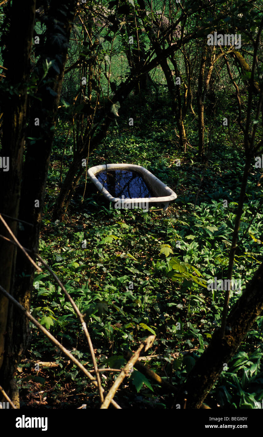 Abandoned bath tub in a forest Germany Stock Photo - Alamy