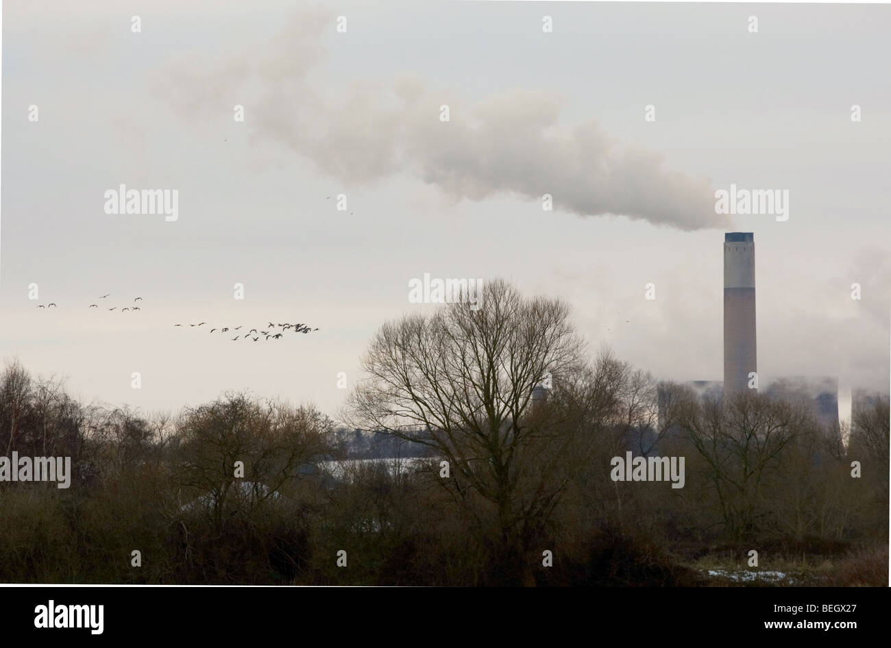 Reserve roost roosting hi-res stock photography and images - Alamy