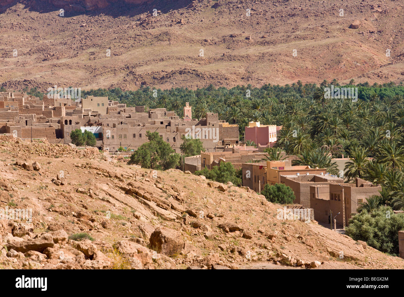 Town and oasis of Erfoud Morocco Stock Photo - Alamy