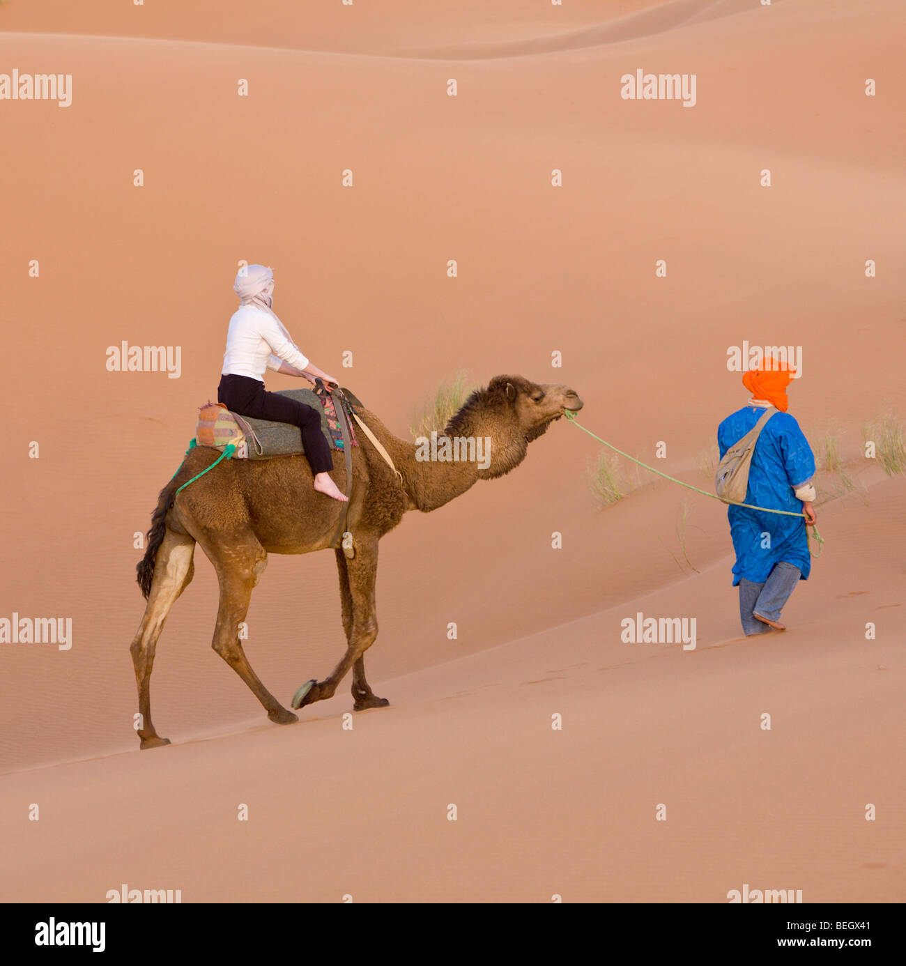 Tourist on a camel ride Merzouga Dunes Sahara Morocco Stock Photo - Alamy
