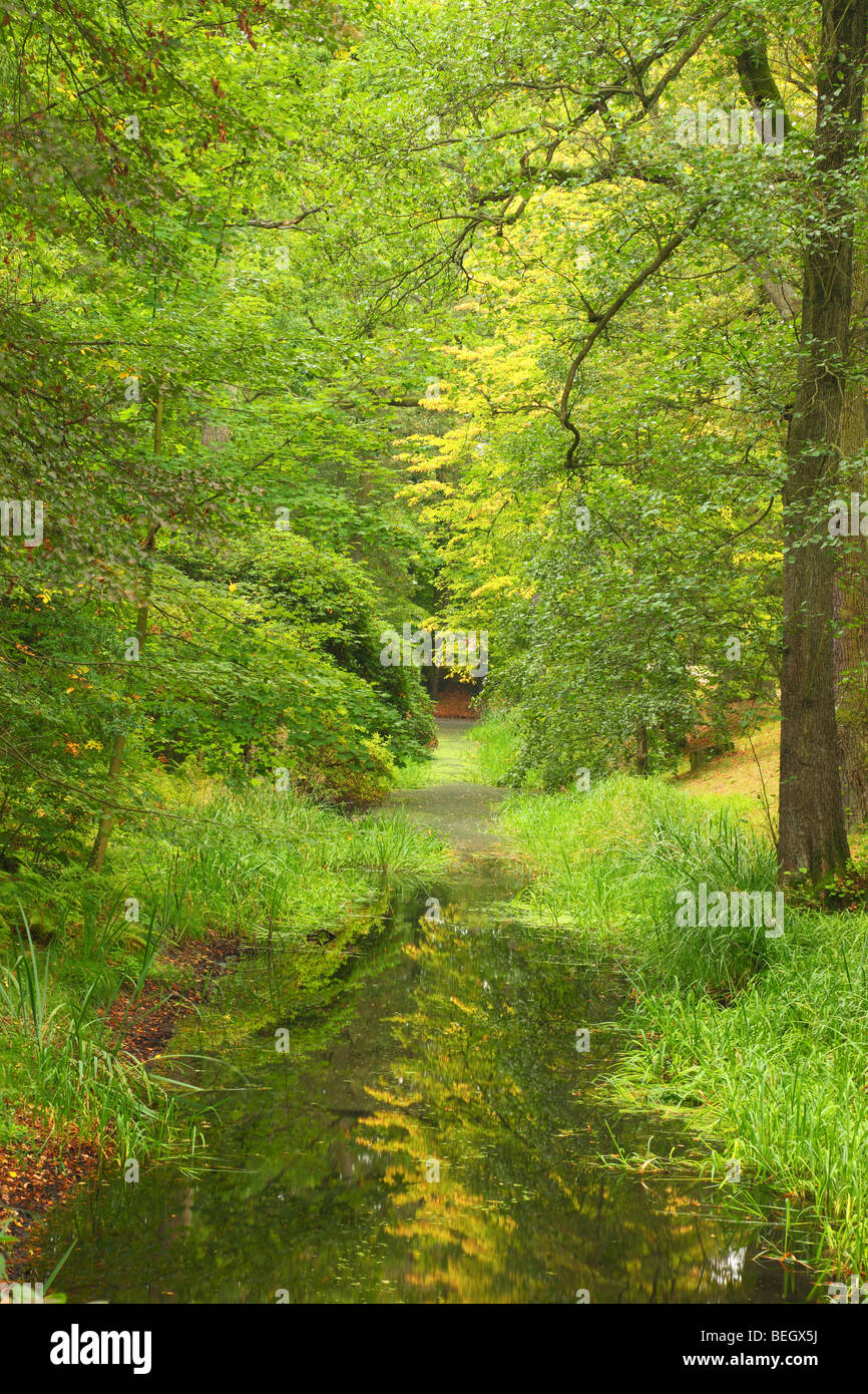Tranquility trees hi-res stock photography and images - Alamy
