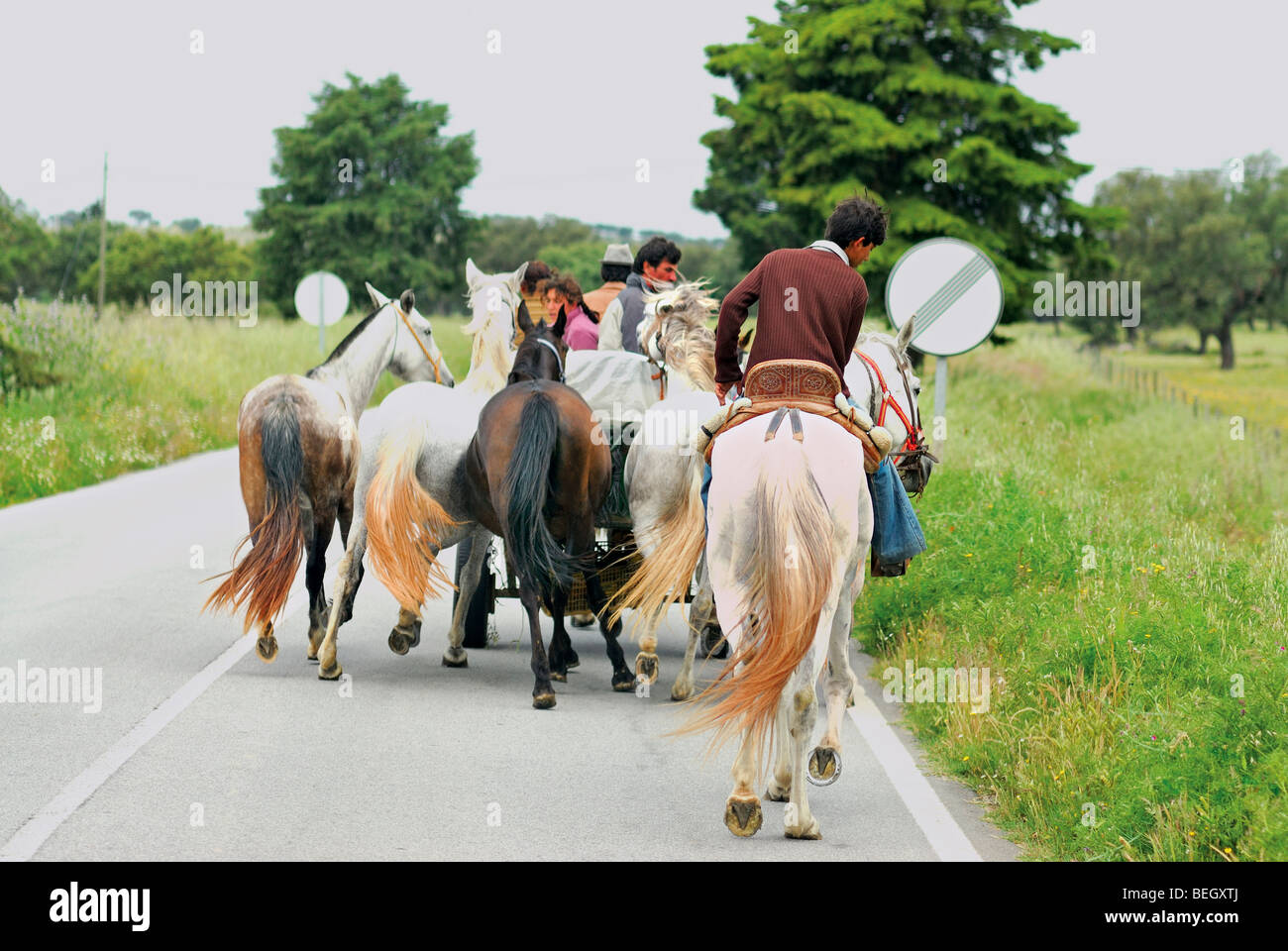 Portugal, Alentejo: Gypsy Family with horses and cart on their way home ...