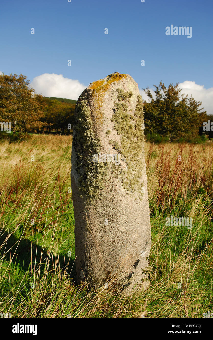 Pictish standing stone hi-res stock photography and images - Alamy