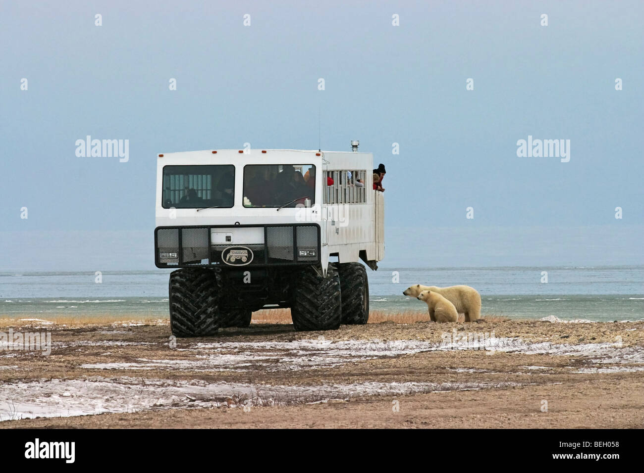 Tundra buggy used to take tourists onto the frozen tundra to watch ...