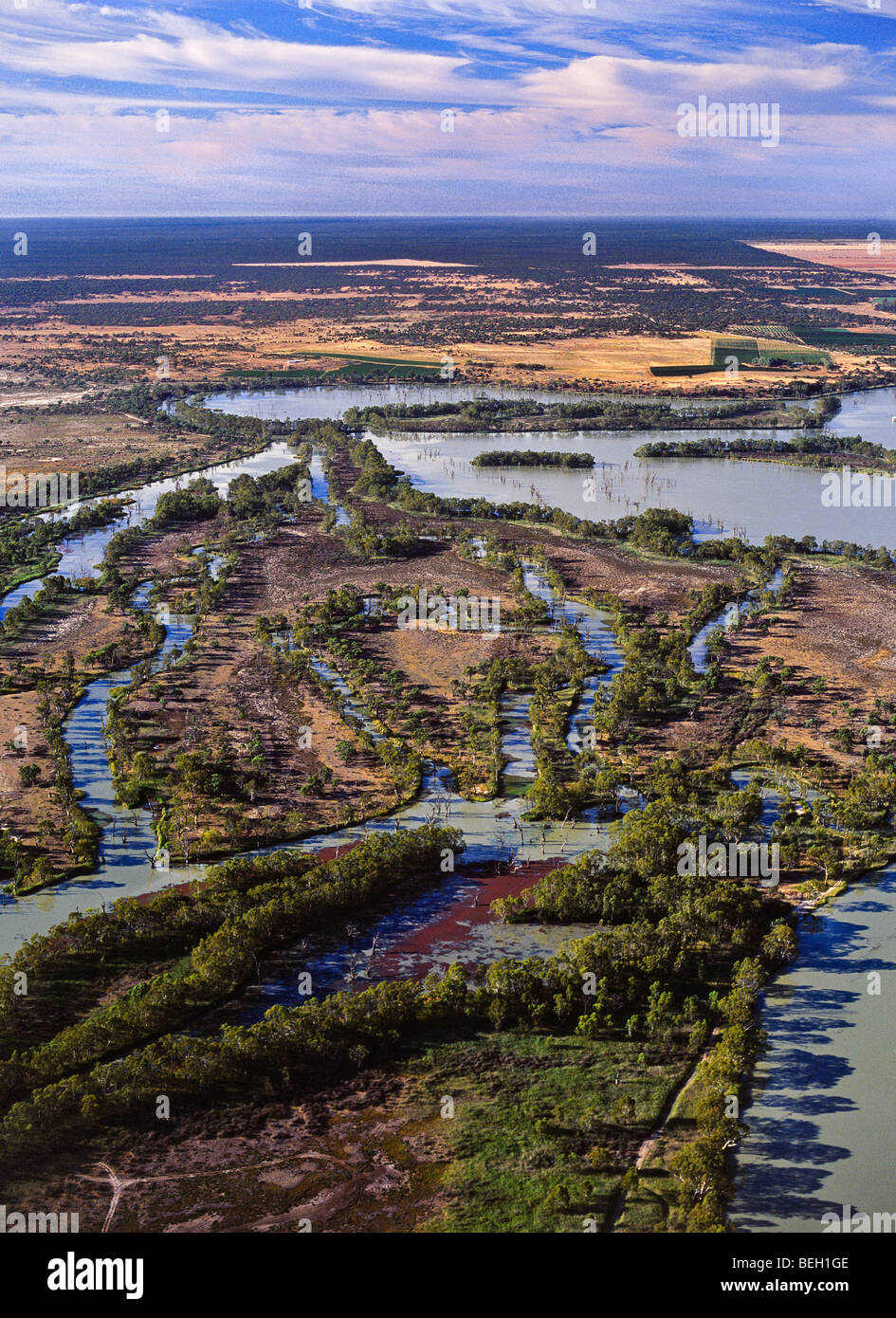 Murray River wetlands, South Australia Stock Photo - Alamy