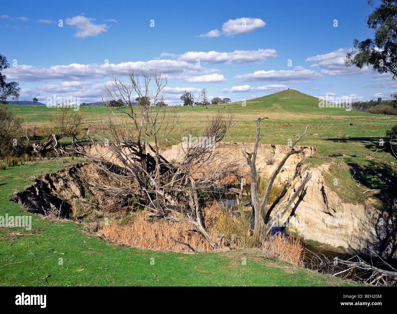 Riverbank exposed tree roots soil hi-res stock photography and images ...
