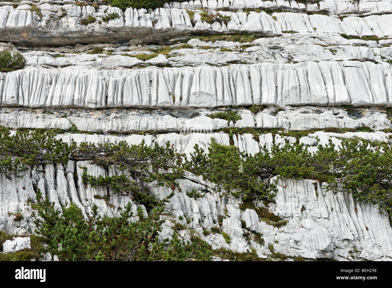 Karst limestone rocks hi-res stock photography and images - Alamy