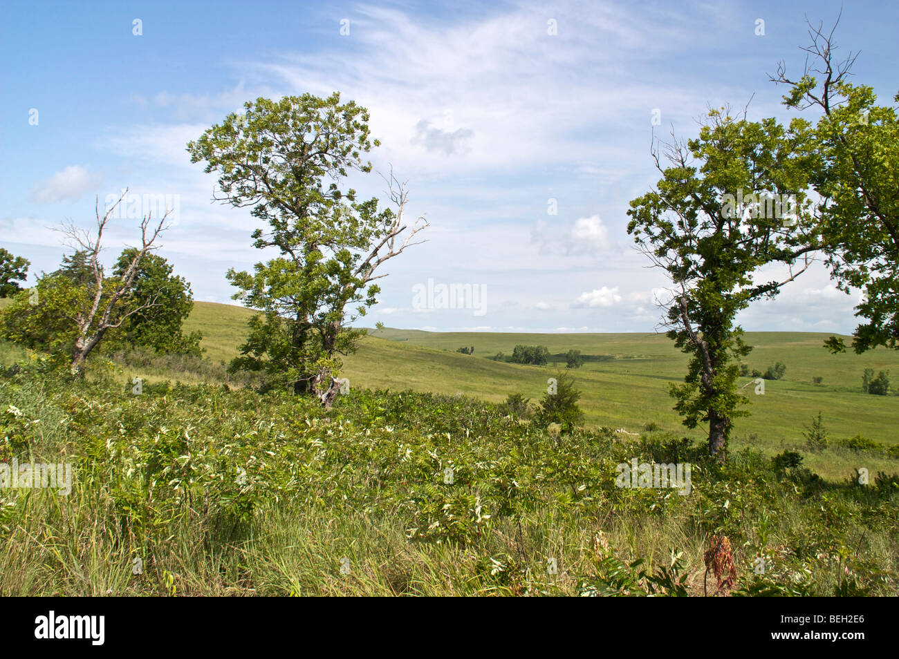 Tallgrass prairie national preserve hi-res stock photography and images ...
