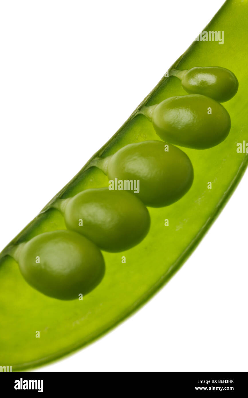 green pea pod isolated on a white background Stock Photo - Alamy