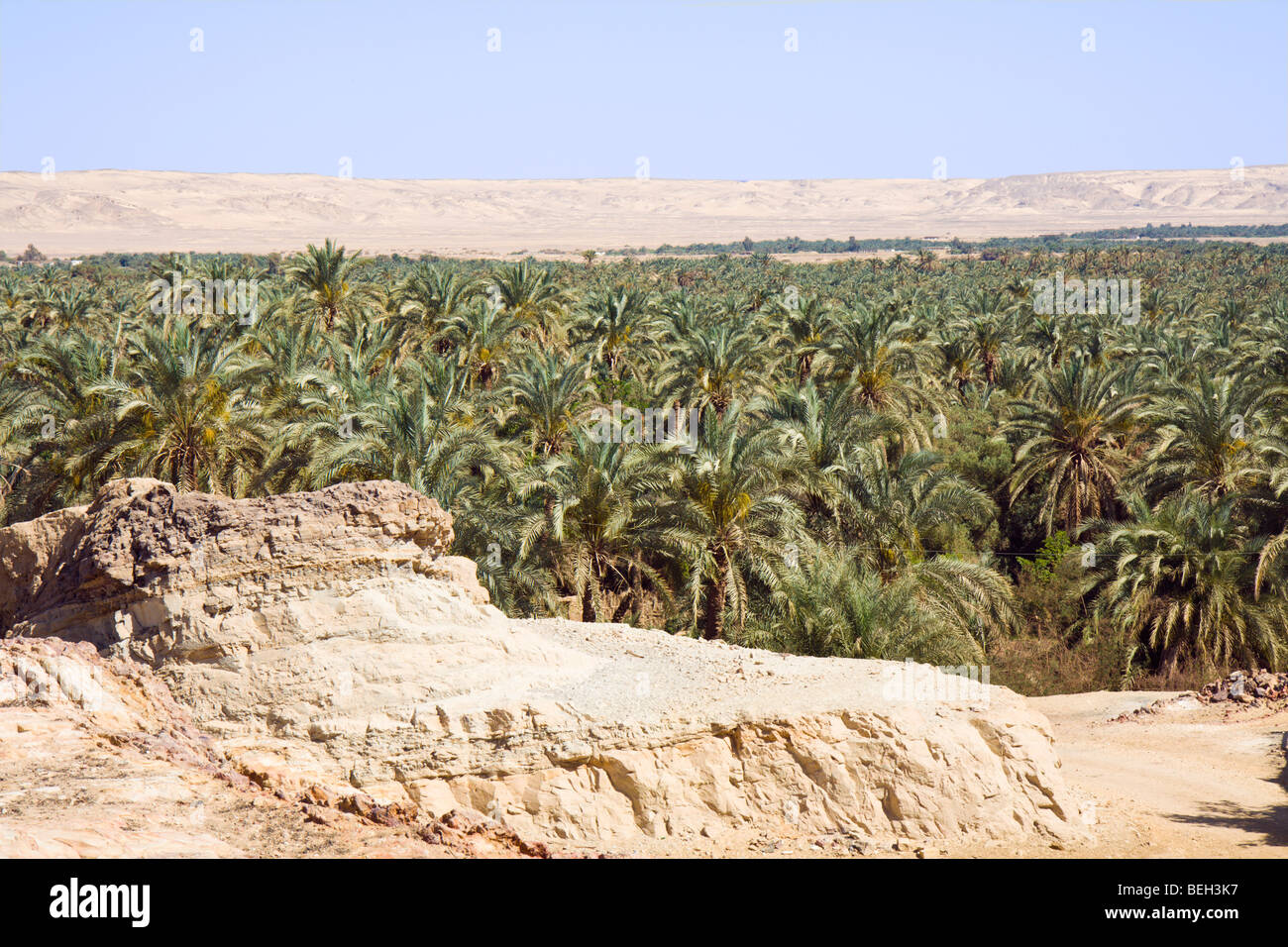 Western desert oasis town hi-res stock photography and images - Alamy