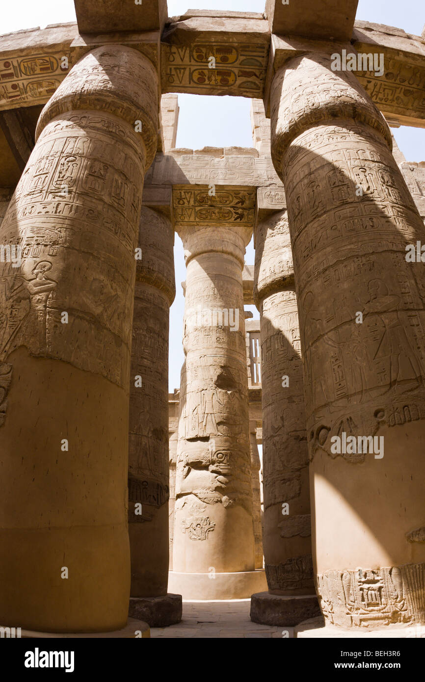 Hypostyl High Resolution Stock Photography and Images - Alamy