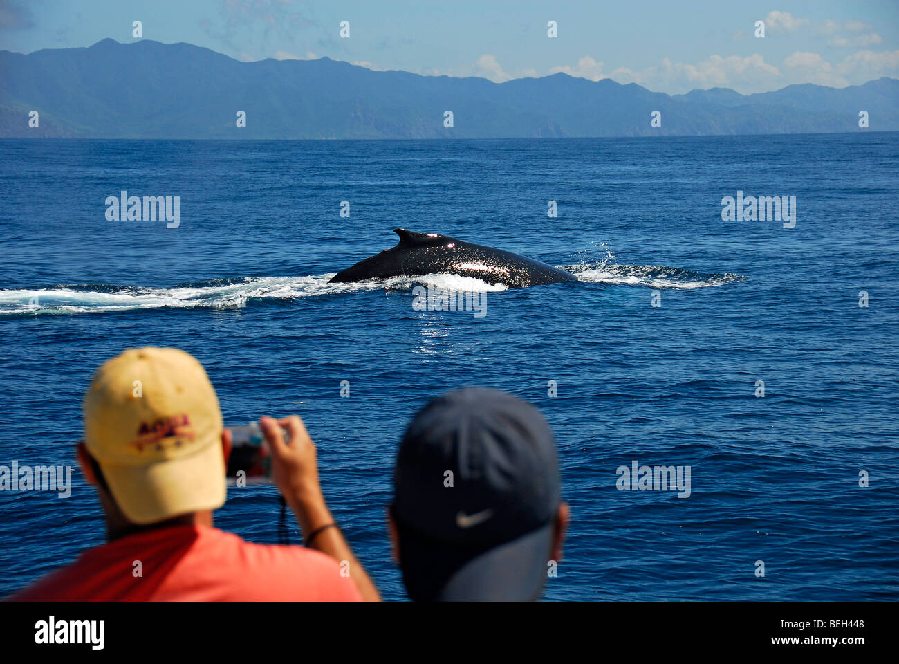 Tourists see Humpback Whale at Whale watching, Megaptera novaeangliae ...