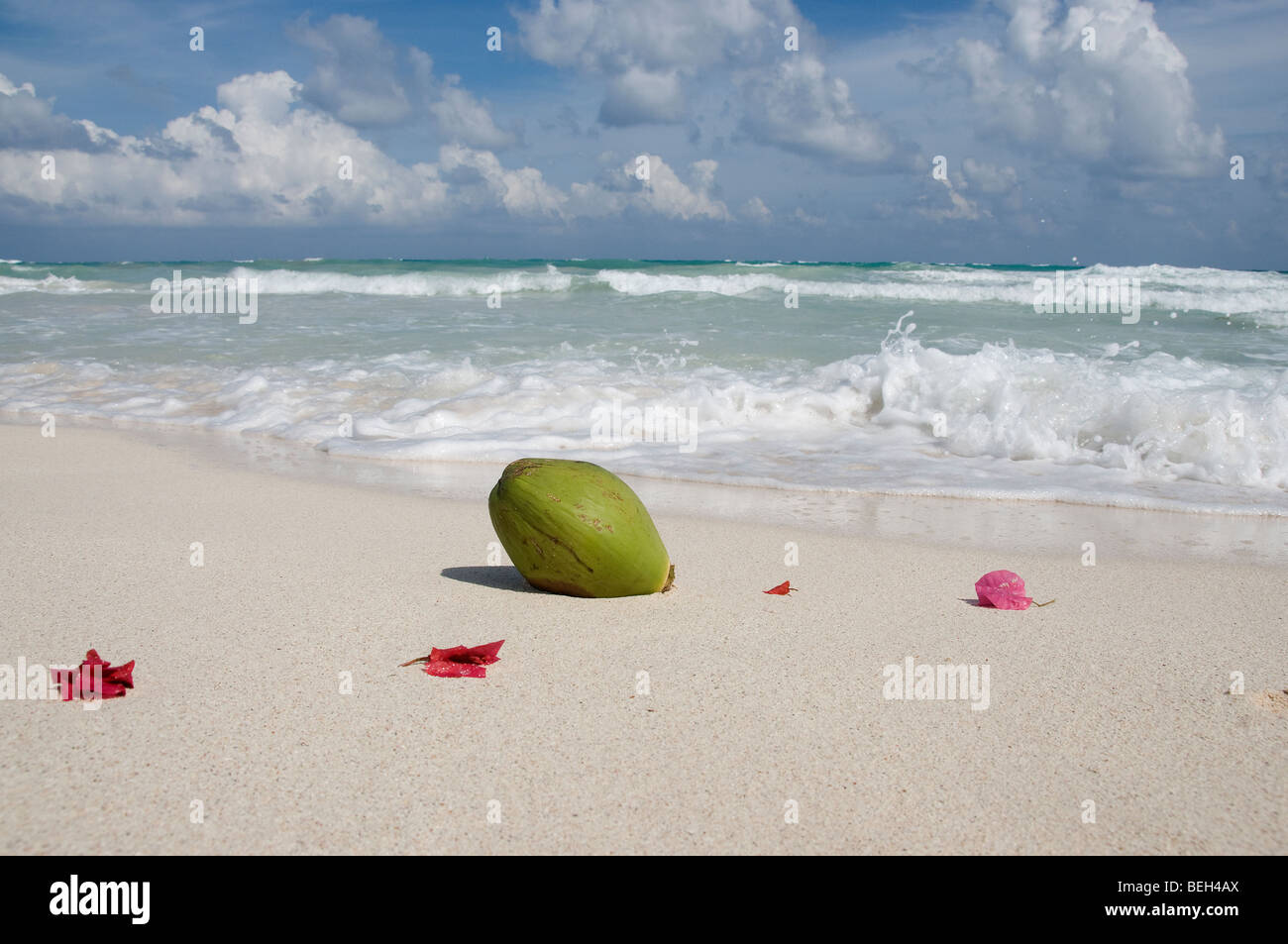 Beach Scenery at Tulum, Tulum, Yucatan Peninsula, Mexico Stock Photo ...