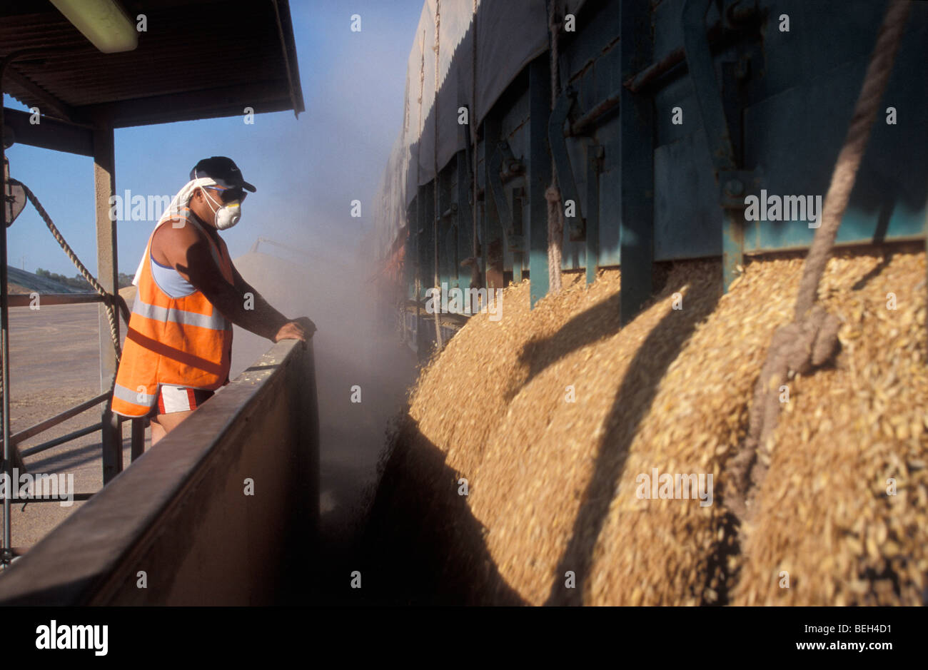 Storing the Wheat Harvest Walgett Silos New South Wales Australia Stock ...